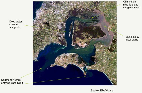 Physical Features – Western Port Seagrass Partnership