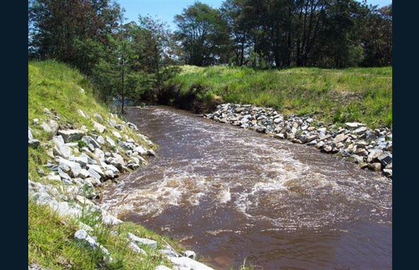 Bunyip River at Cora Lynn – Western Port Seagrass Partnership