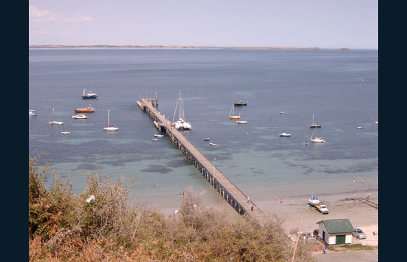 Flinders Jetty – Western Port Seagrass Partnership